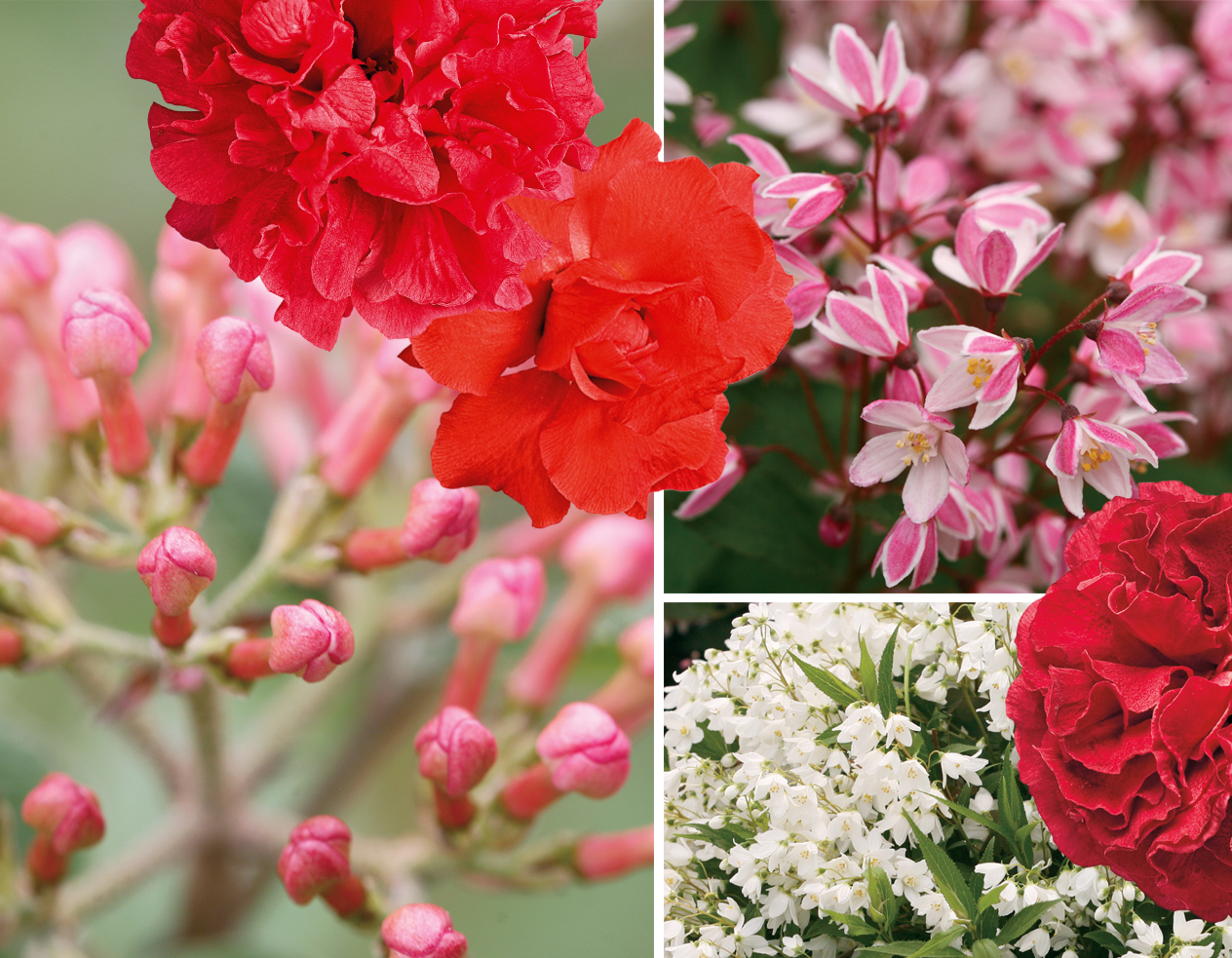 Spice up those Fall Containers - Proven Beauty