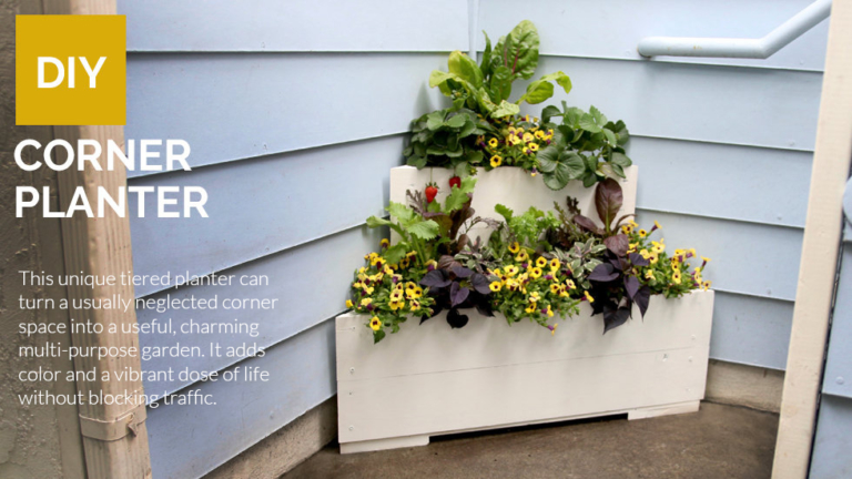 corner-planter - Proven Beauty