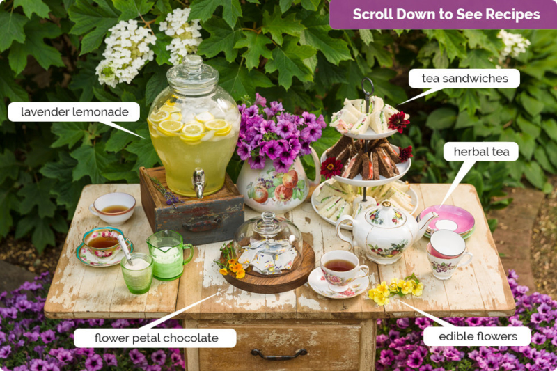 Garden Tea Party - Proven Beauty