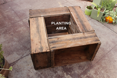 DIY Crate Planter - Proven Beauty