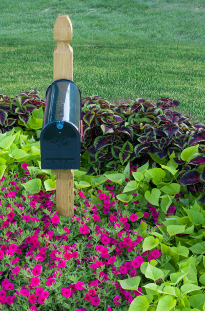 Mailbox Garden Recipe - Proven Beauty