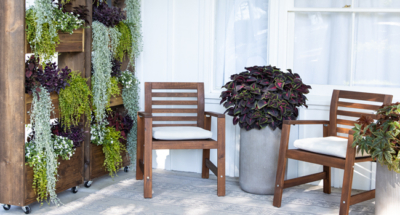 Container Gardening - Proven Beauty