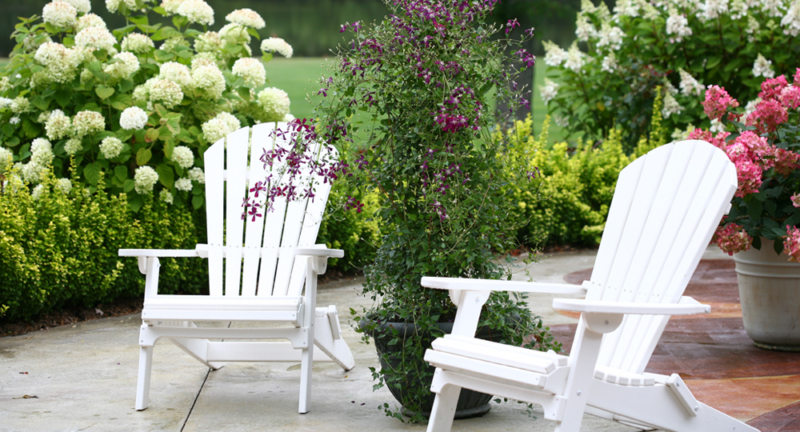 Container Trellising - Proven Beauty