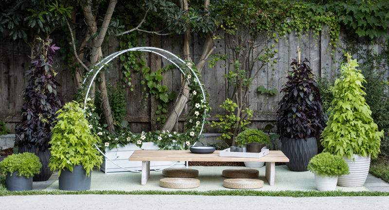 Container Trellising - Proven Beauty