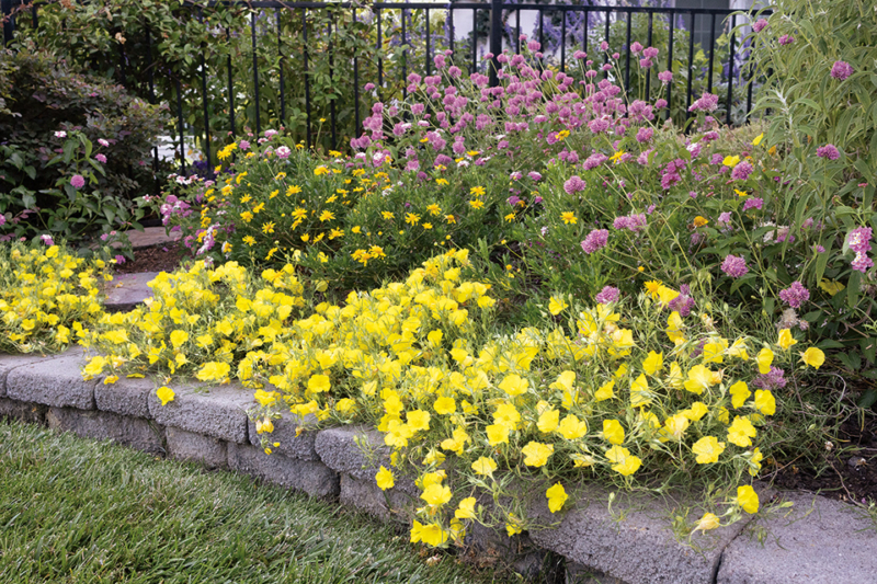 The Southwest & California - Proven Beauty